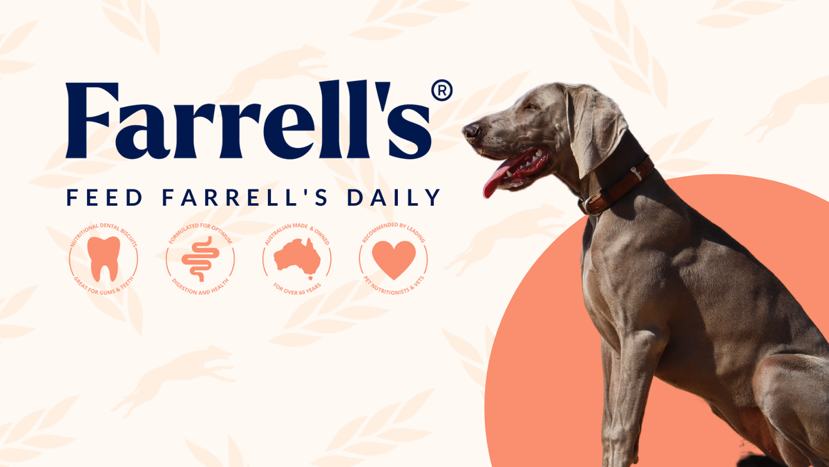Products – Farrell's Pet Nutrition