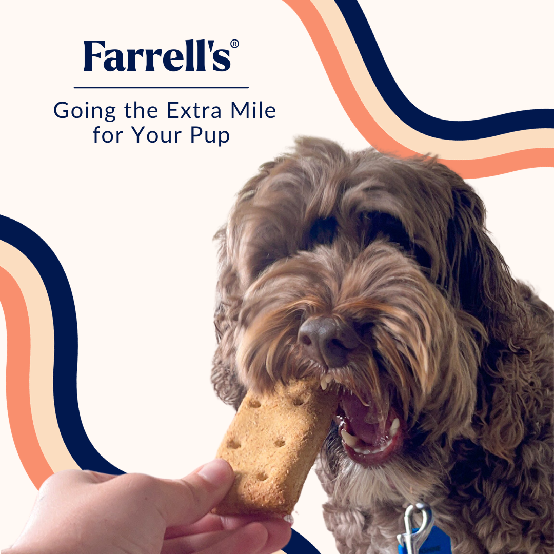 Farrell's Pet Nutrition - The Original 4x2 – FARRELL'S PETCARE LTD