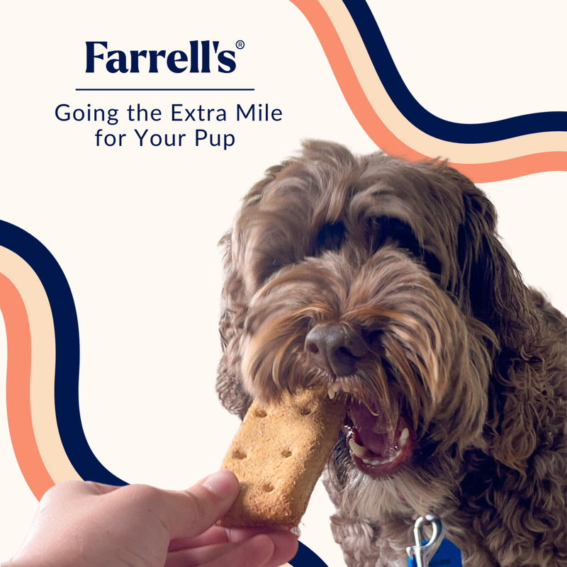 Farrell's Pet Nutrition - The Original 4x2 – FARRELL'S PETCARE LTD