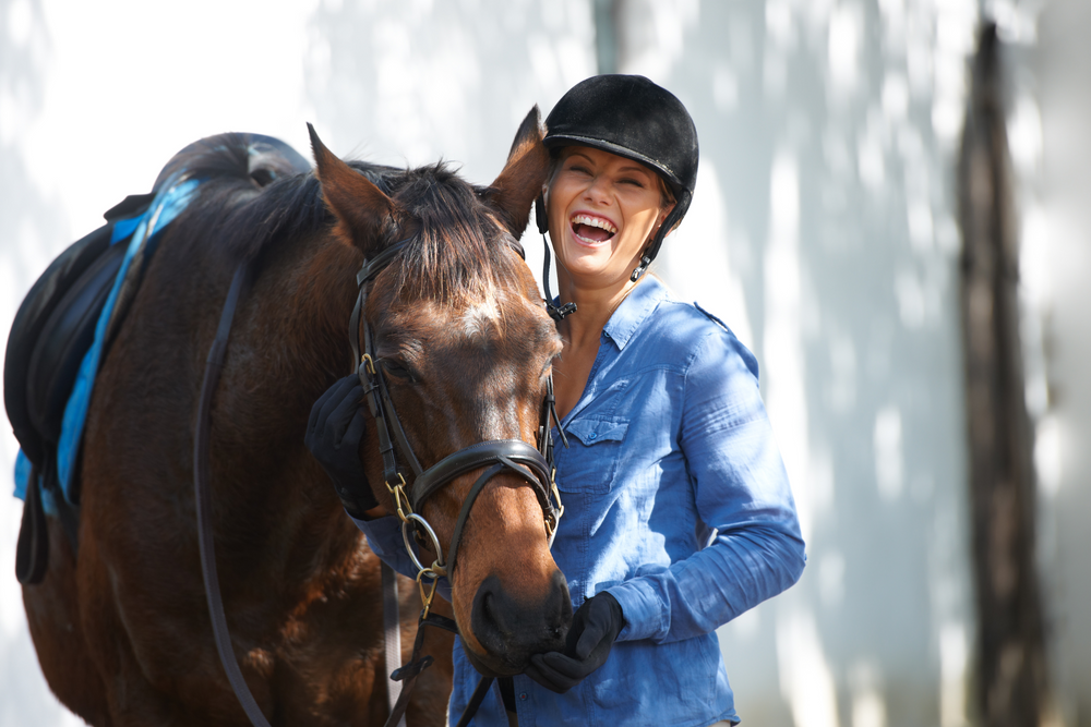 Farrell's Original 4x2 Baked Dog Biscuits 10kg – FARRELL'S PETCARE LTD